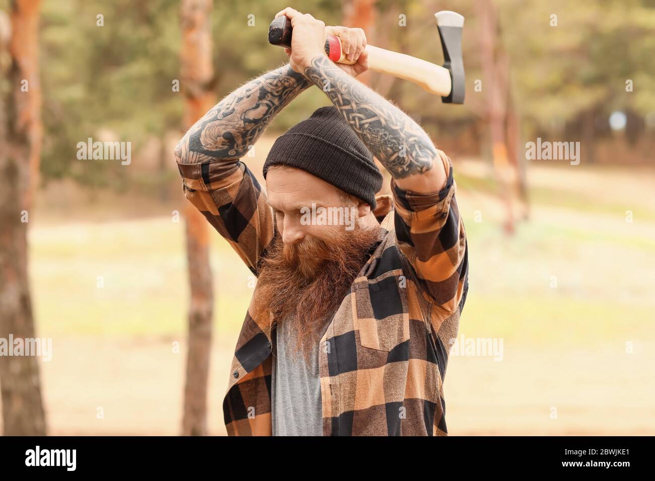 Handsome lumberjack cutting down trees in forest Stock Photo - Alamy