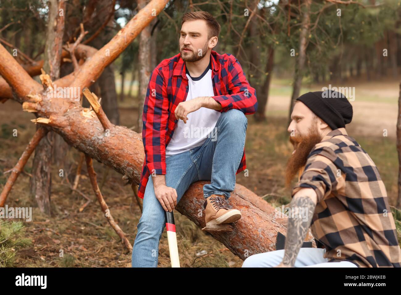 Portrait of handsome lumberjacks in forest Stock Photo - Alamy