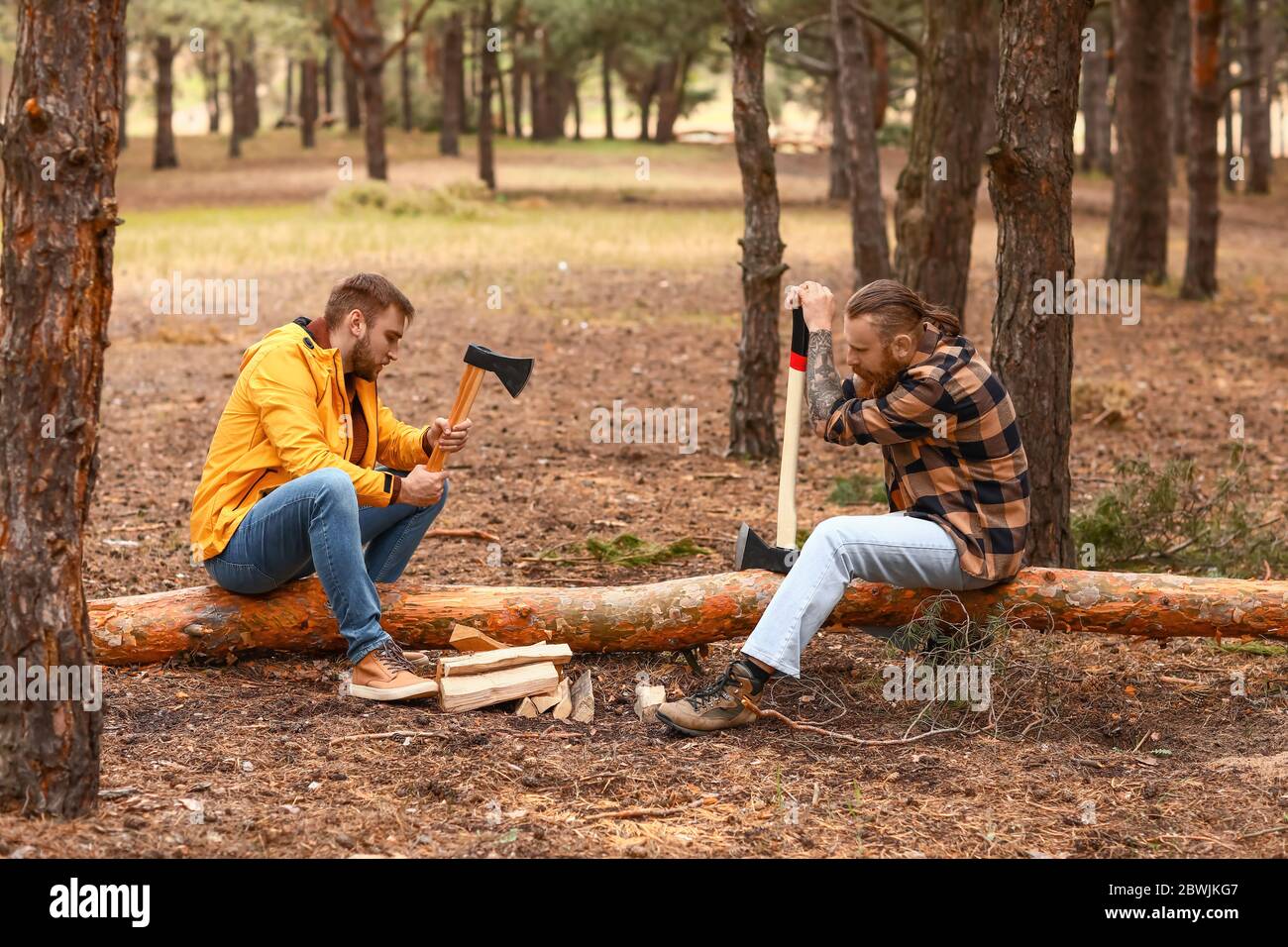Lumberjacks work hi-res stock photography and images - Alamy