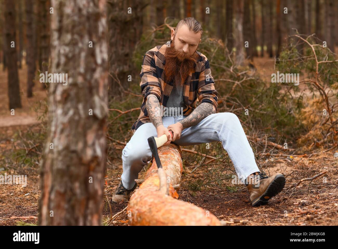 Handsome lumberjack cutting down trees in forest Stock Photo - Alamy