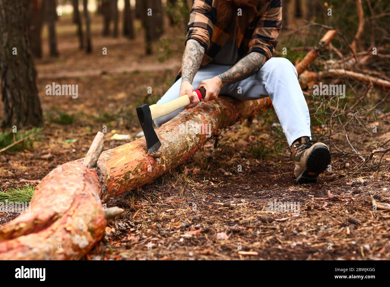 Handsome lumberjack cutting down trees in forest Stock Photo - Alamy