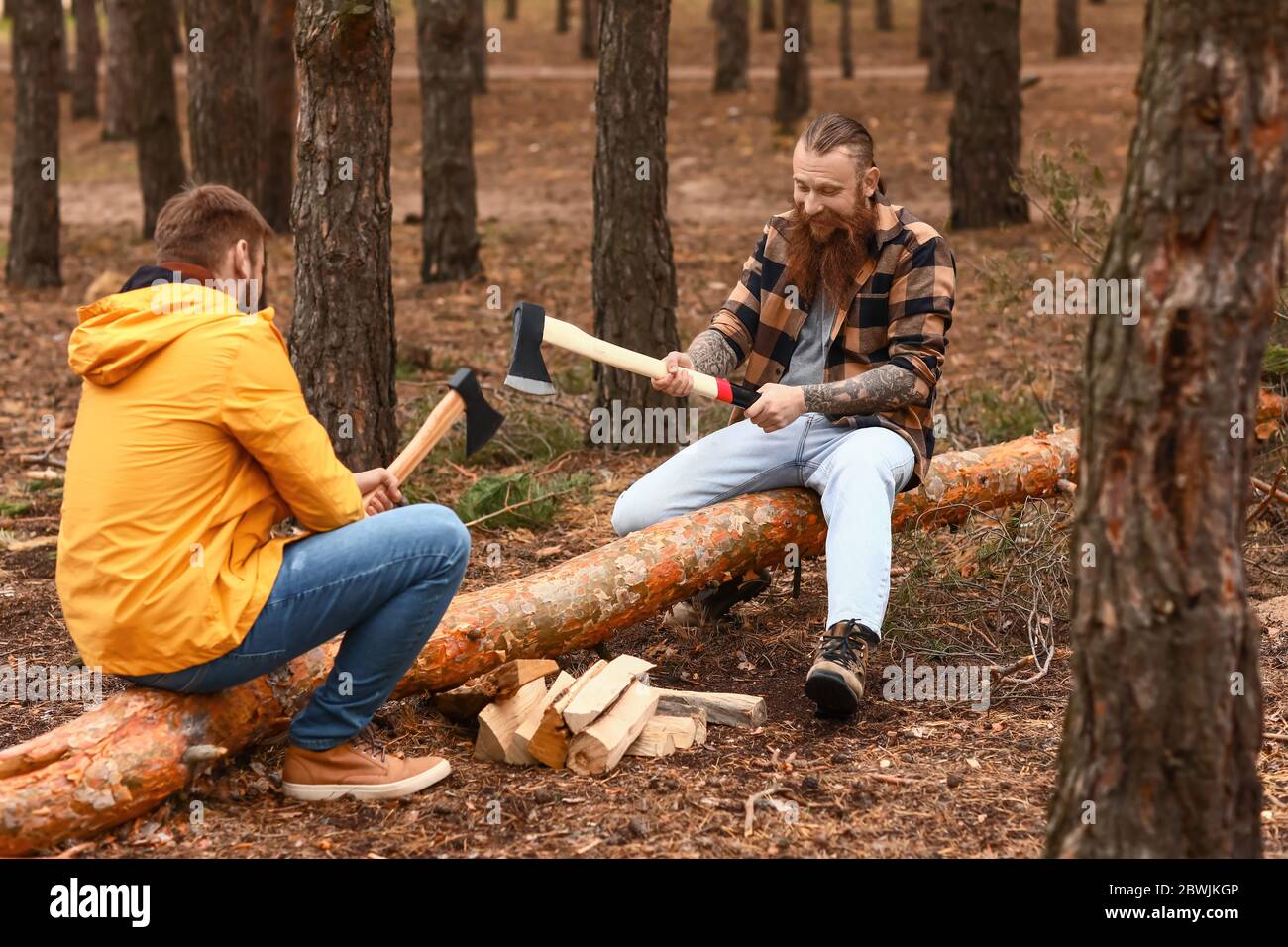 Lumberjacks work hi-res stock photography and images - Alamy