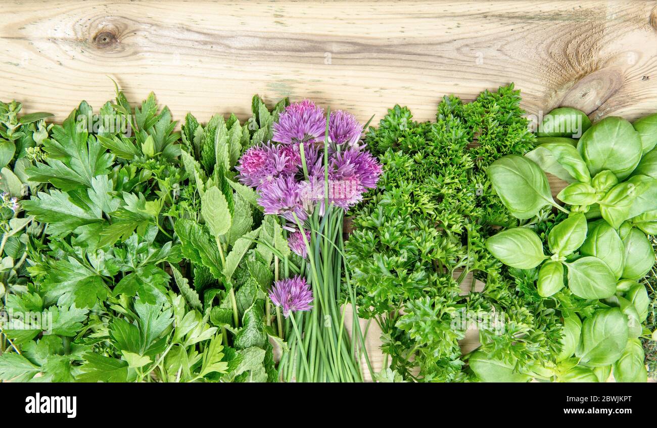 Chive, basil, parsley, mint. Fresh herbs on wooden kitchen table. Food ...