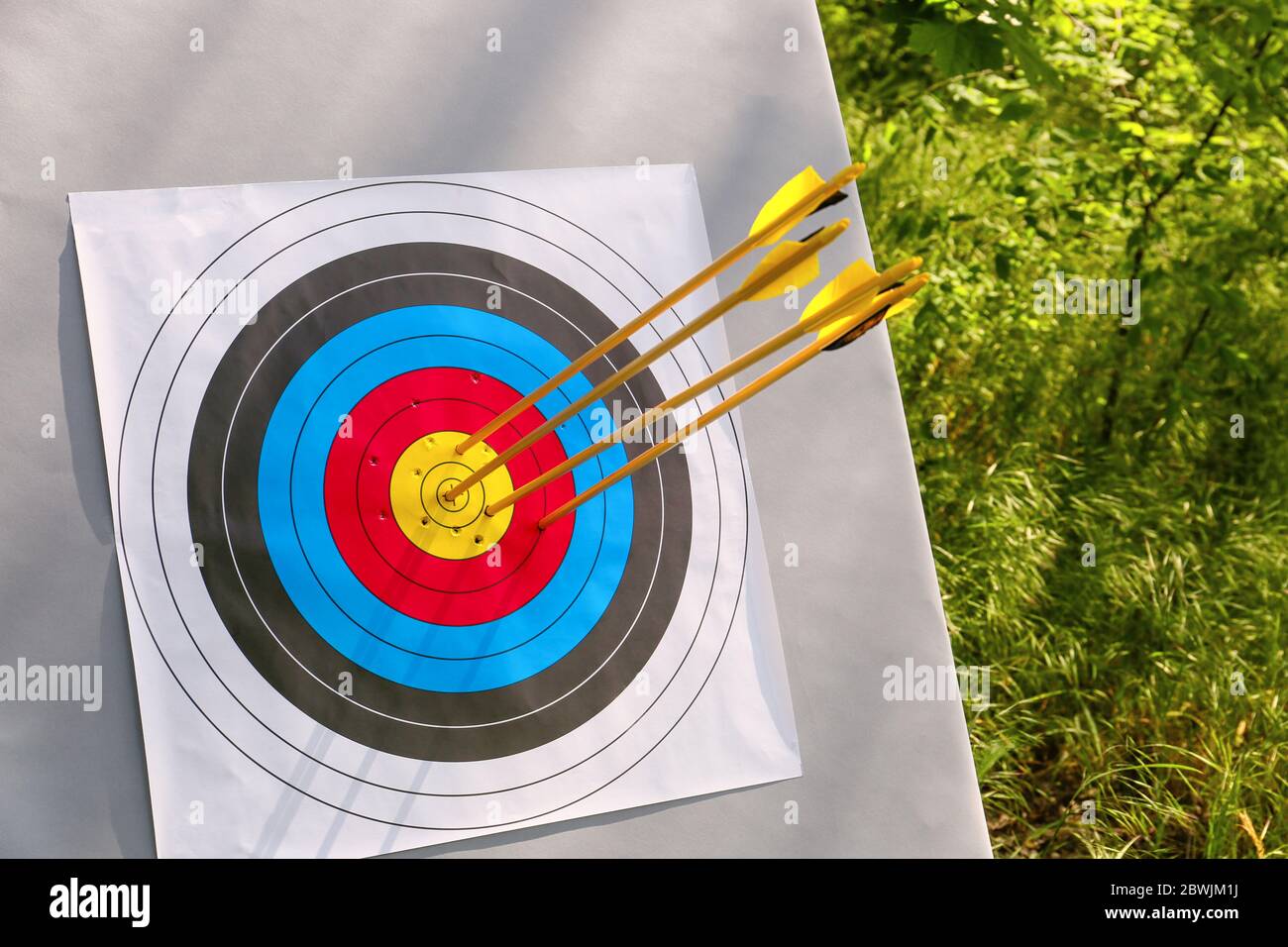 Target for archery with arrows in forest Stock Photo - Alamy