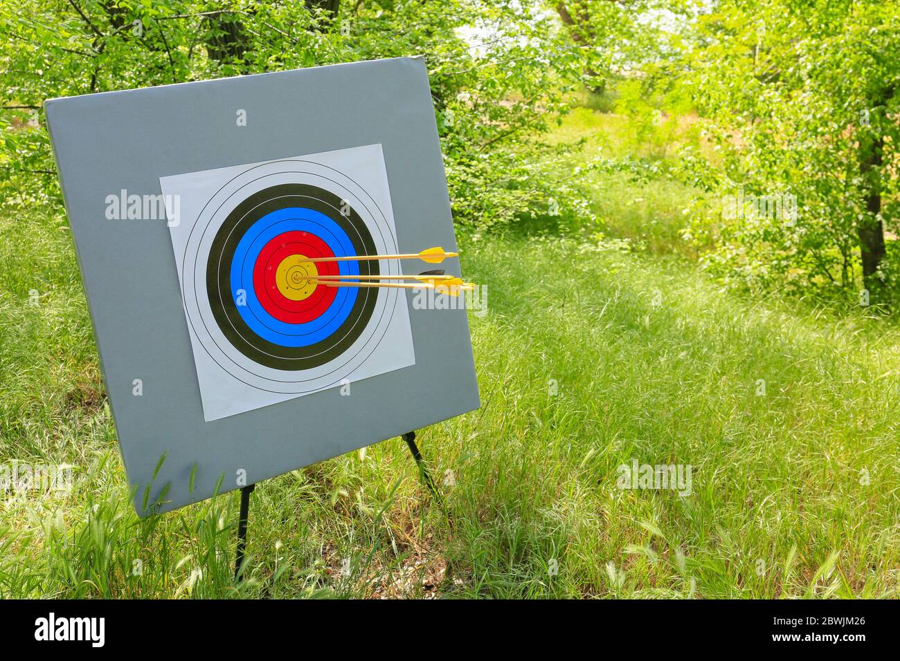 Target for archery with arrows in forest Stock Photo - Alamy