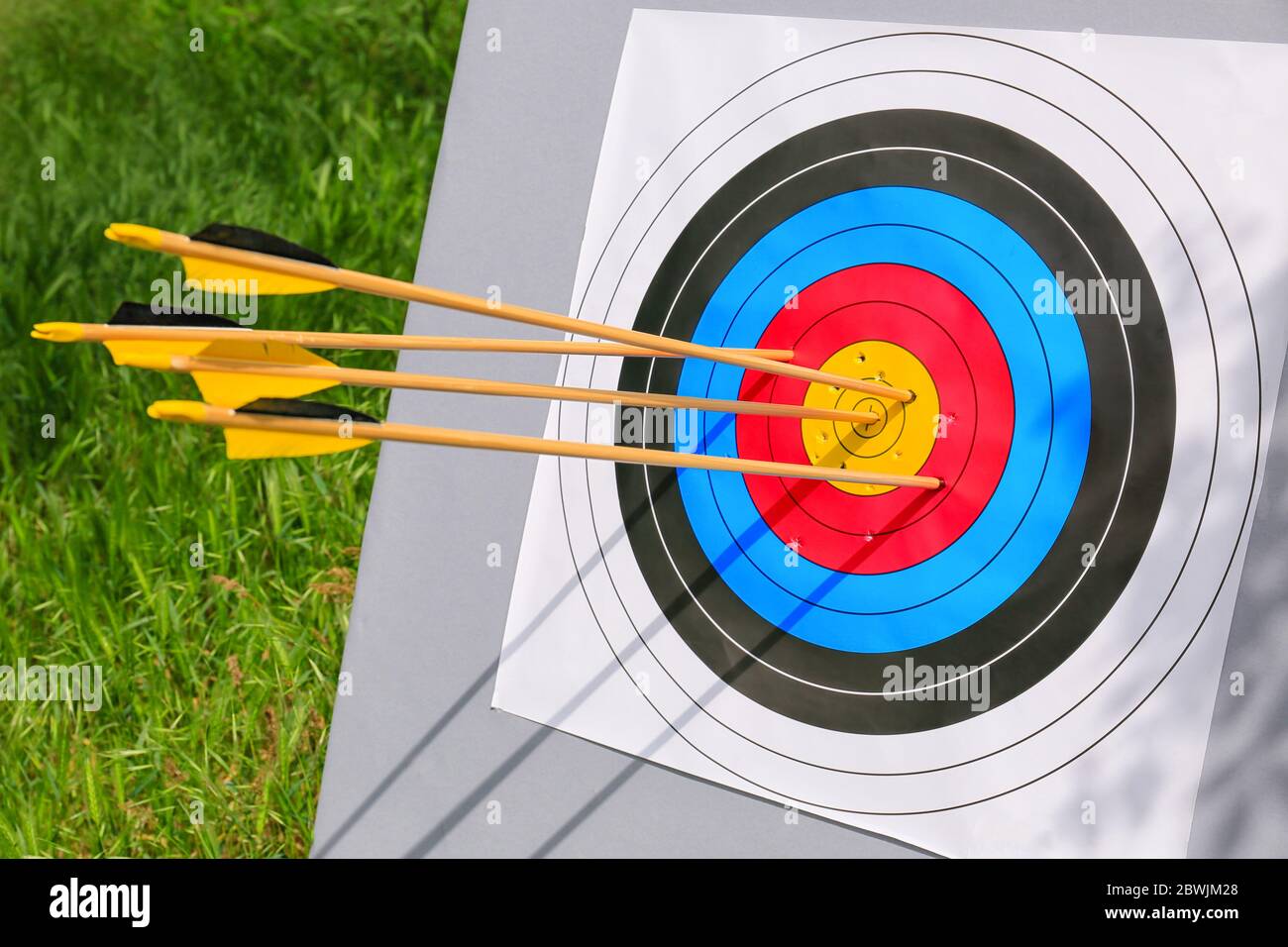 Target for archery with arrows in forest Stock Photo - Alamy
