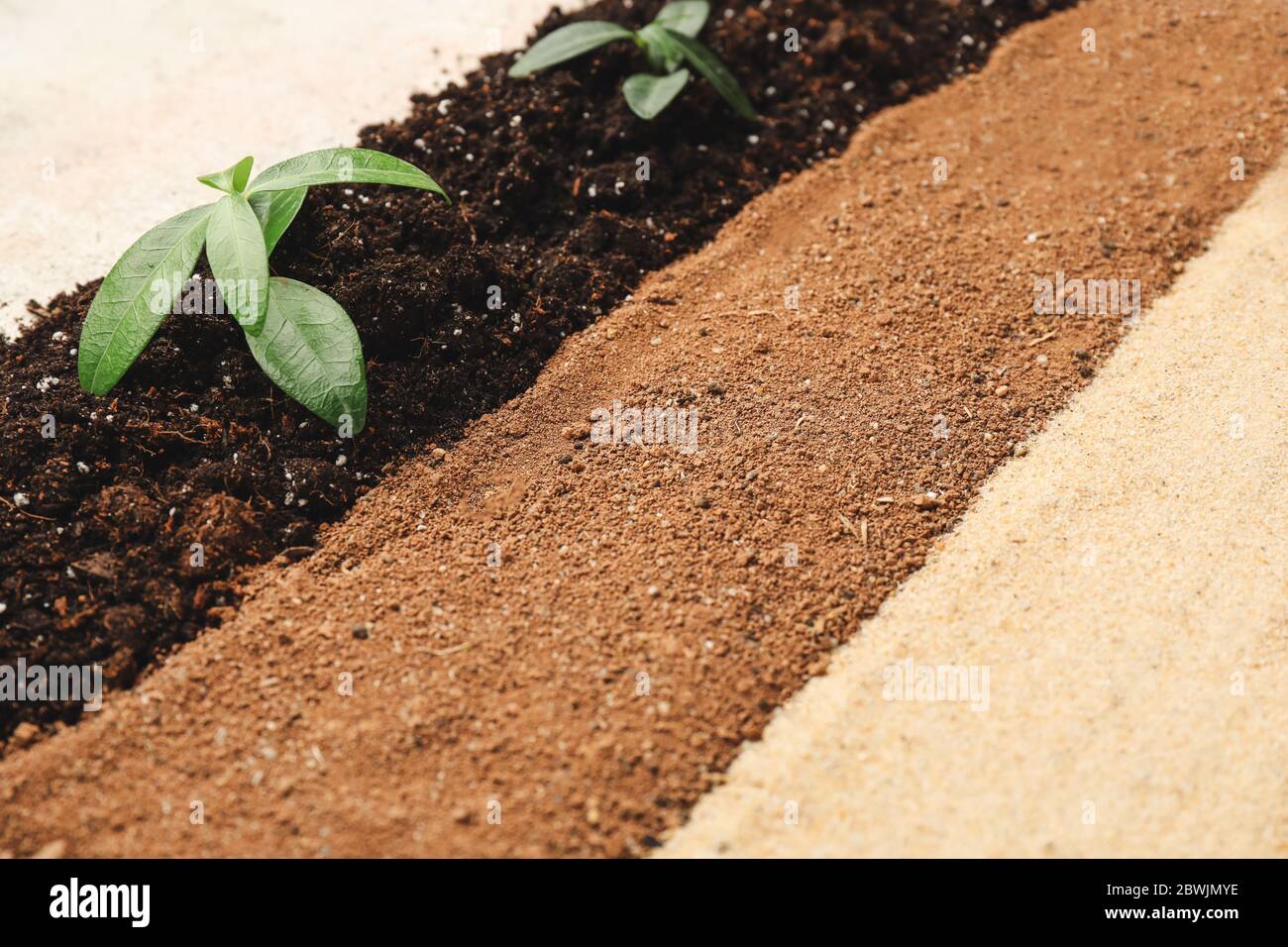 Different types of soil with green plants, closeup Stock Photo - Alamy