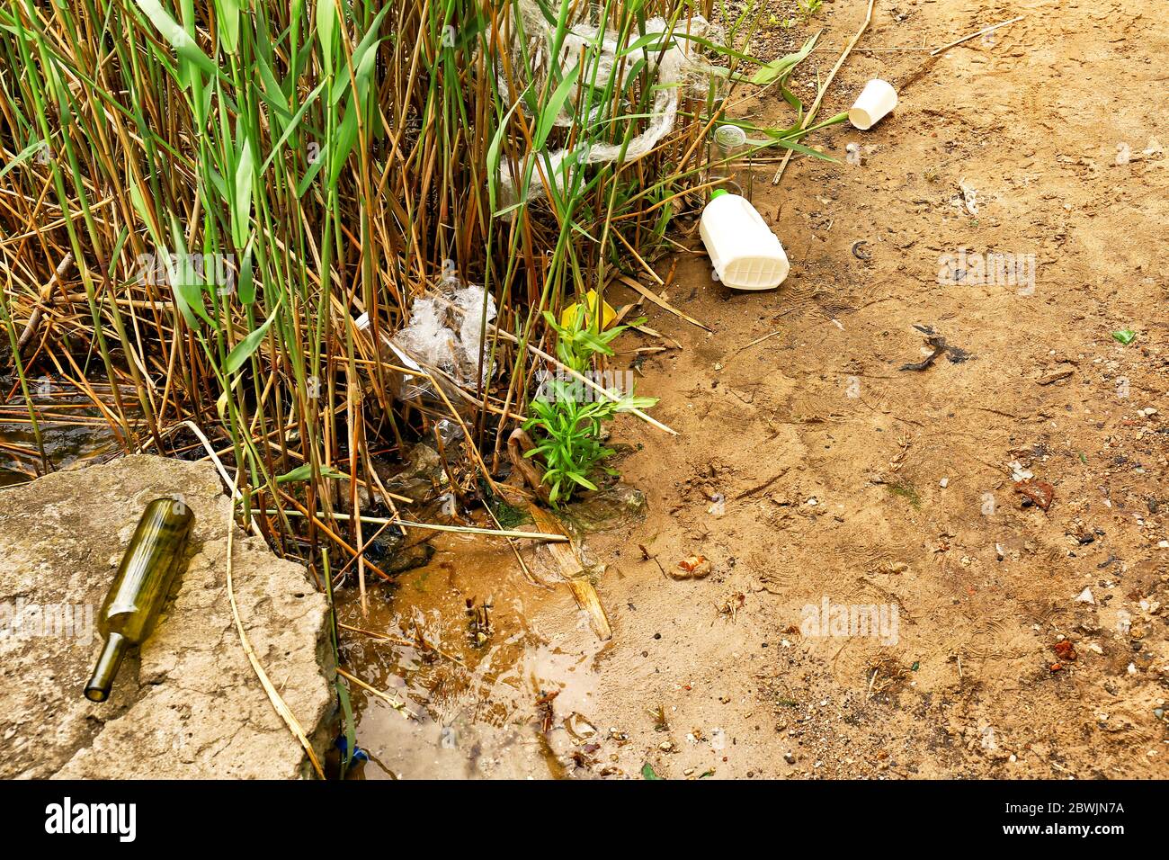 View of garbage near river outdoors. Concept of soil pollution Stock ...