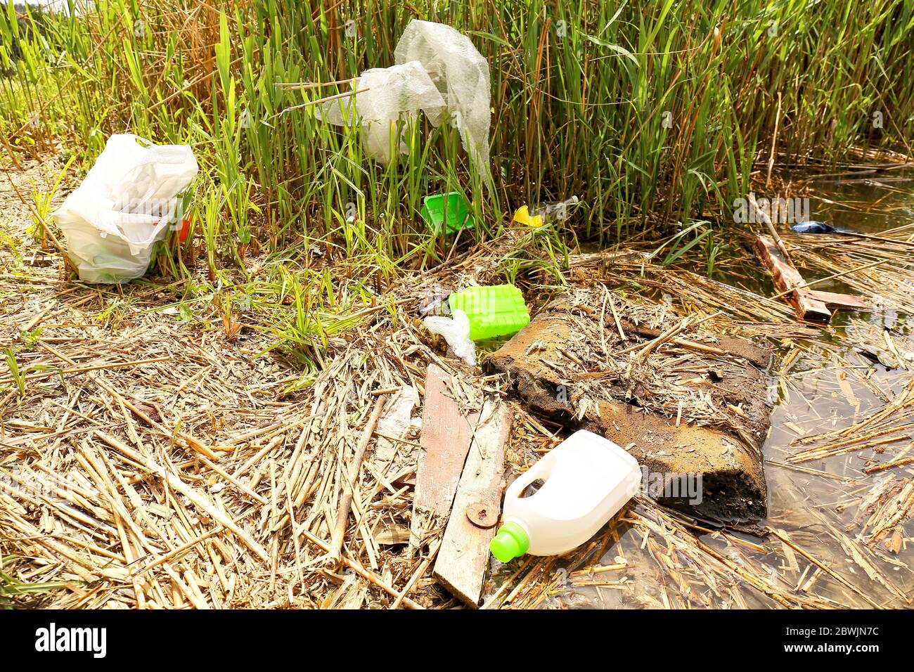 View of garbage near river outdoors. Concept of soil pollution Stock ...
