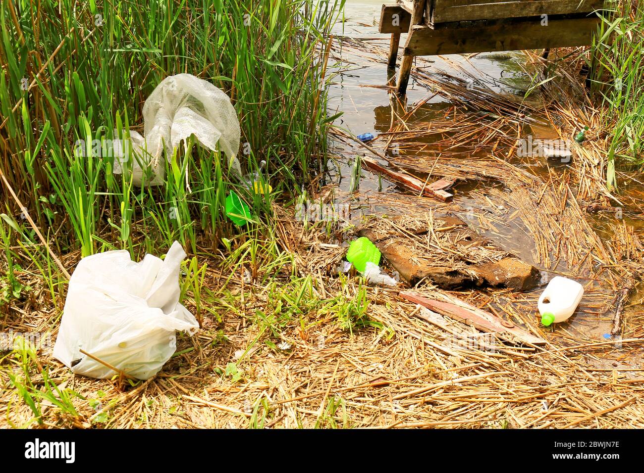 View of garbage near river outdoors. Concept of soil pollution Stock ...