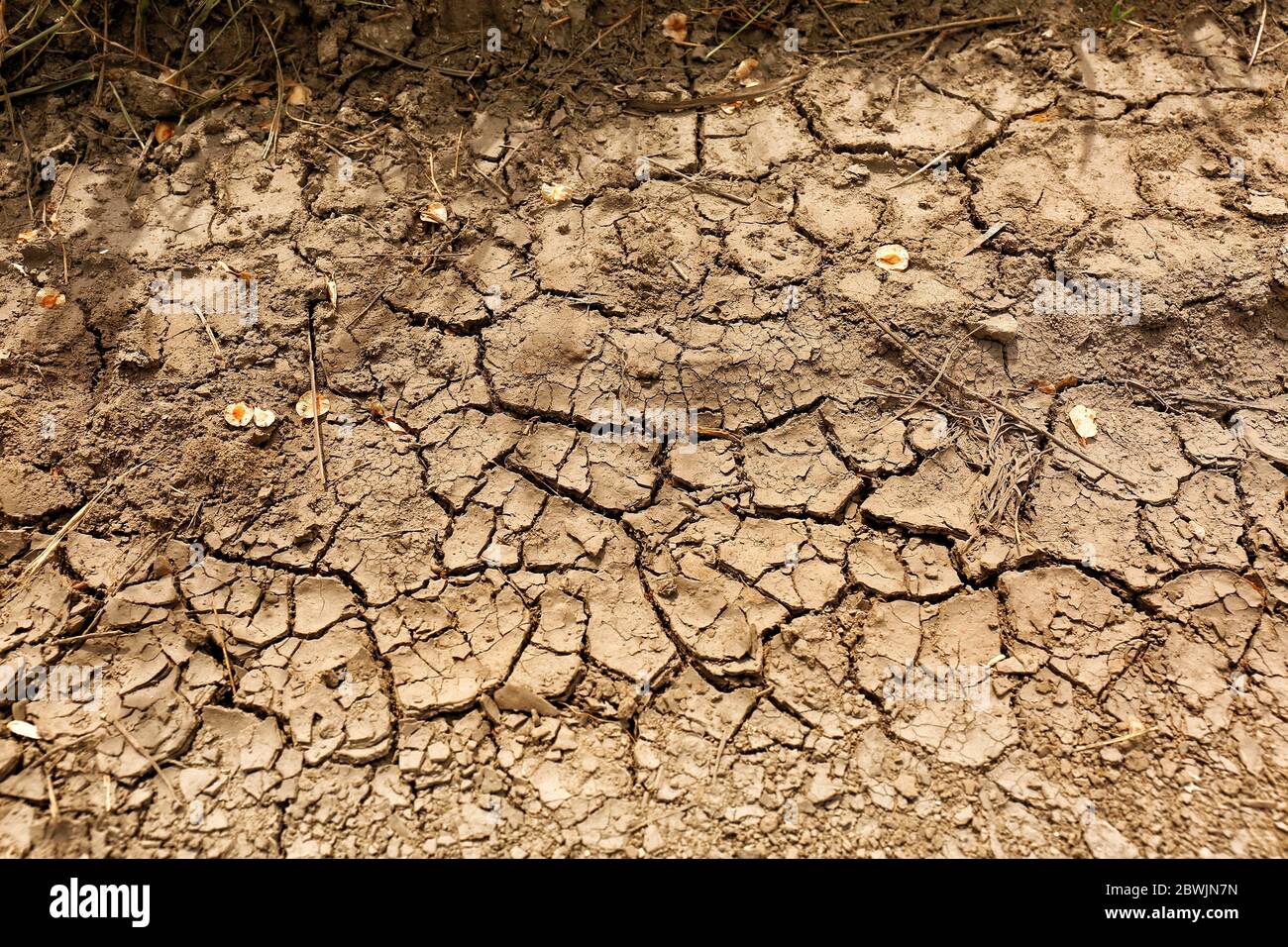 Dry soil outdoors, top view Stock Photo - Alamy