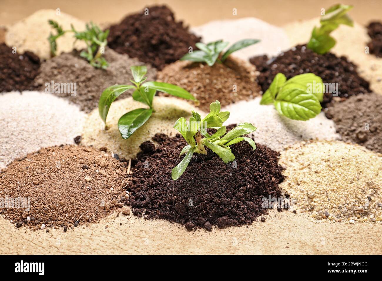 Different types of soil with plants on color background Stock Photo - Alamy
