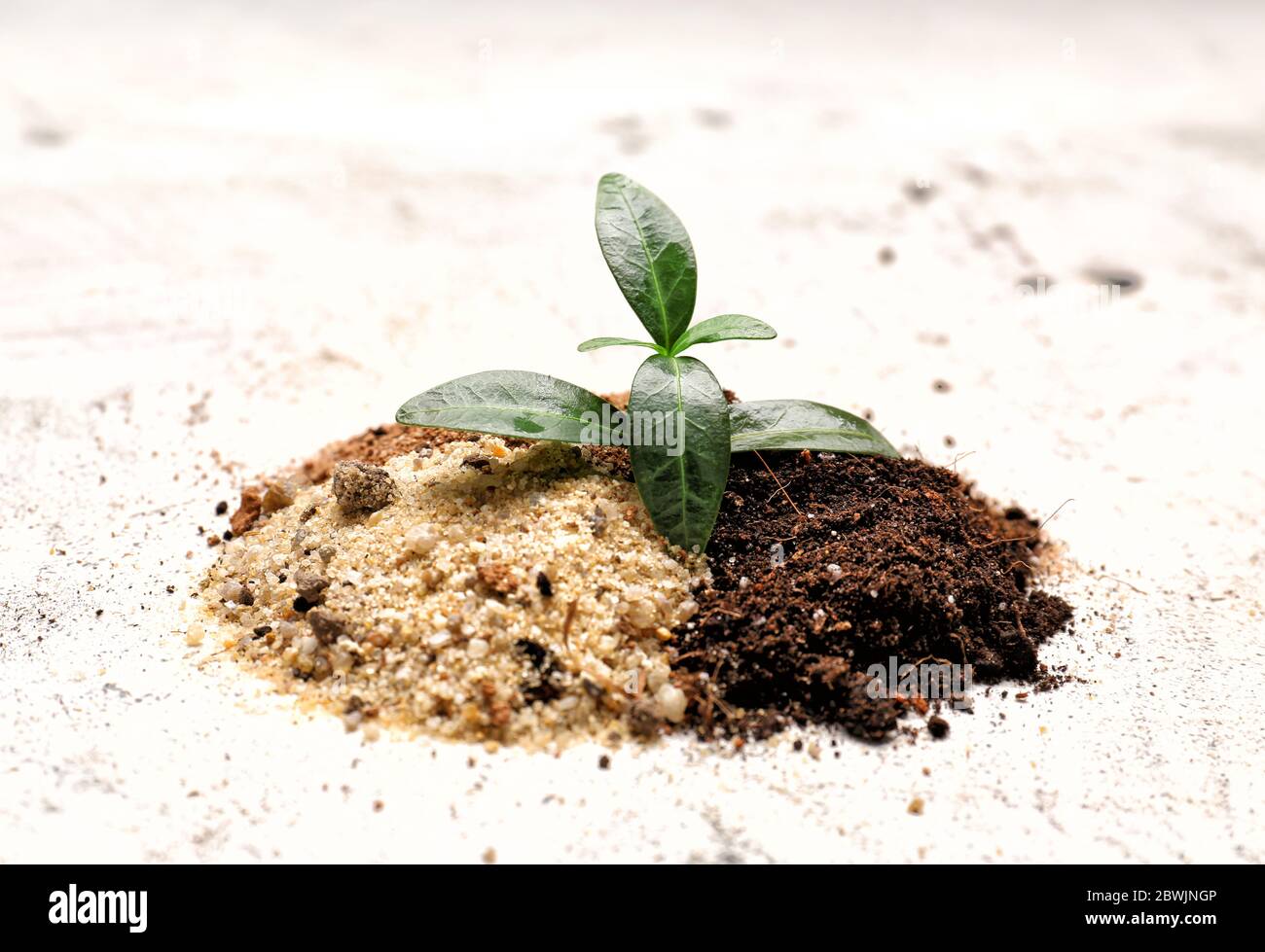 Different types of soil with plant on light background Stock Photo - Alamy
