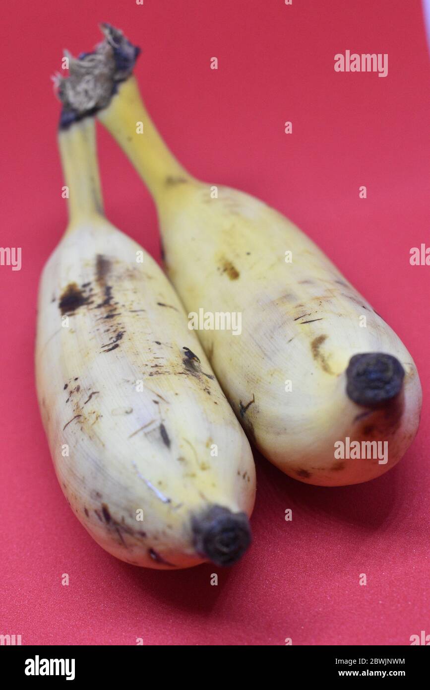 Cheru pazham.Njalipoovan (a variety of small banana fruit) against a ...