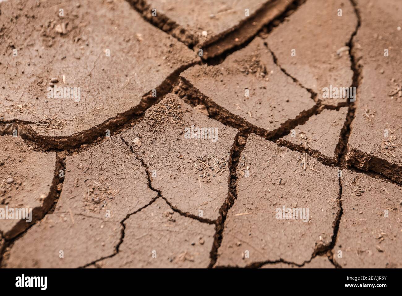 Texture of dry soil, closeup view Stock Photo - Alamy