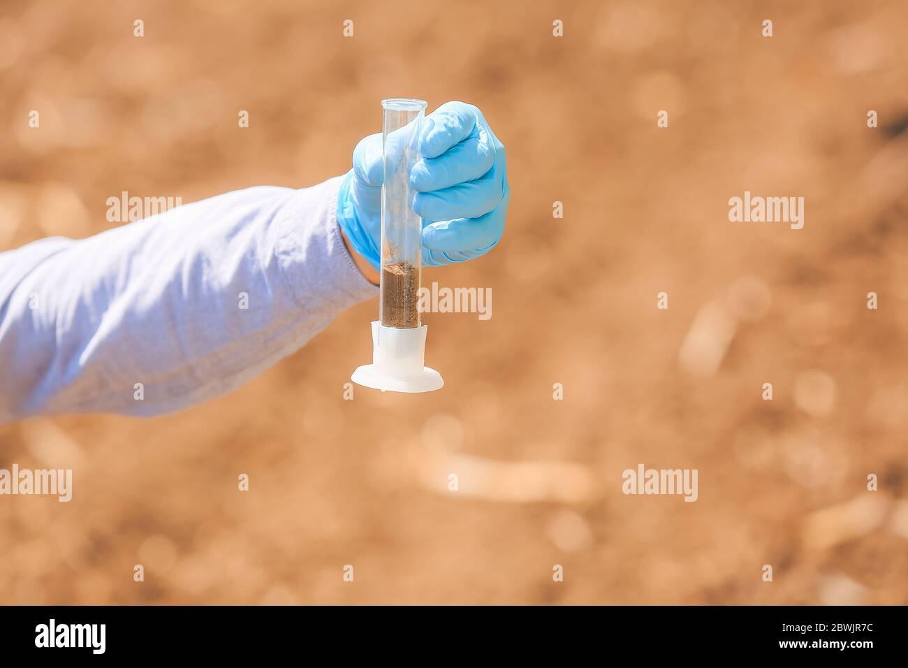 Scientist studying samples of soil in field Stock Photo - Alamy