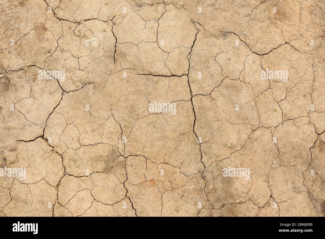 Texture of dry soil, closeup view Stock Photo - Alamy