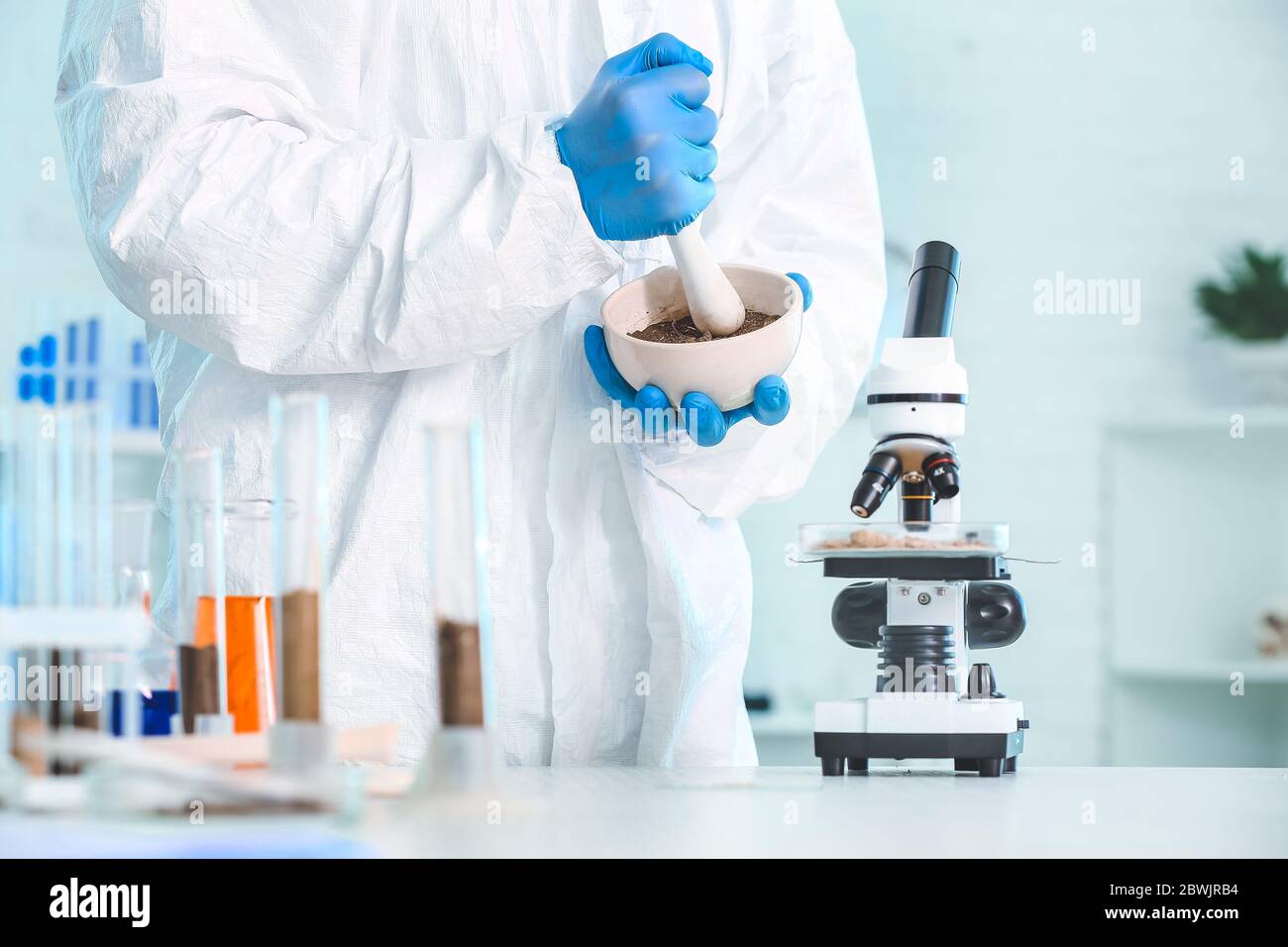 Scientist studying samples of soil in laboratory Stock Photo - Alamy