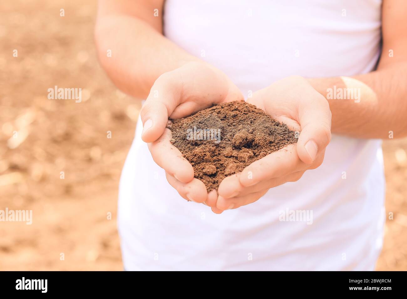 Agronomist with handful of soil in field, closeup Stock Photo - Alamy