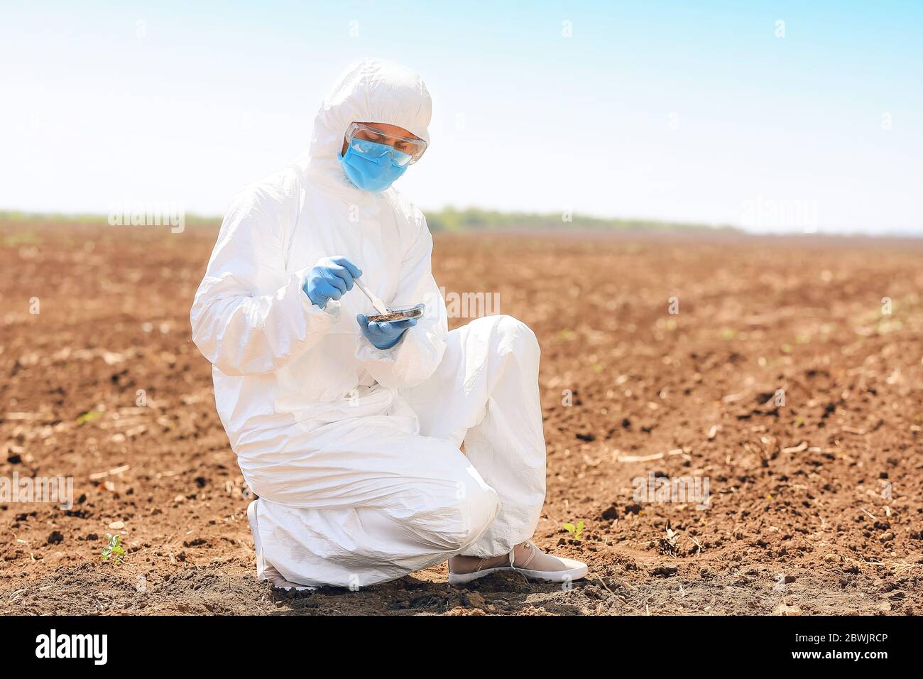 Scientist studying samples of soil in field Stock Photo - Alamy