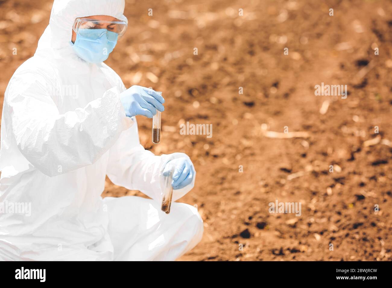Scientist studying samples of soil in field Stock Photo - Alamy