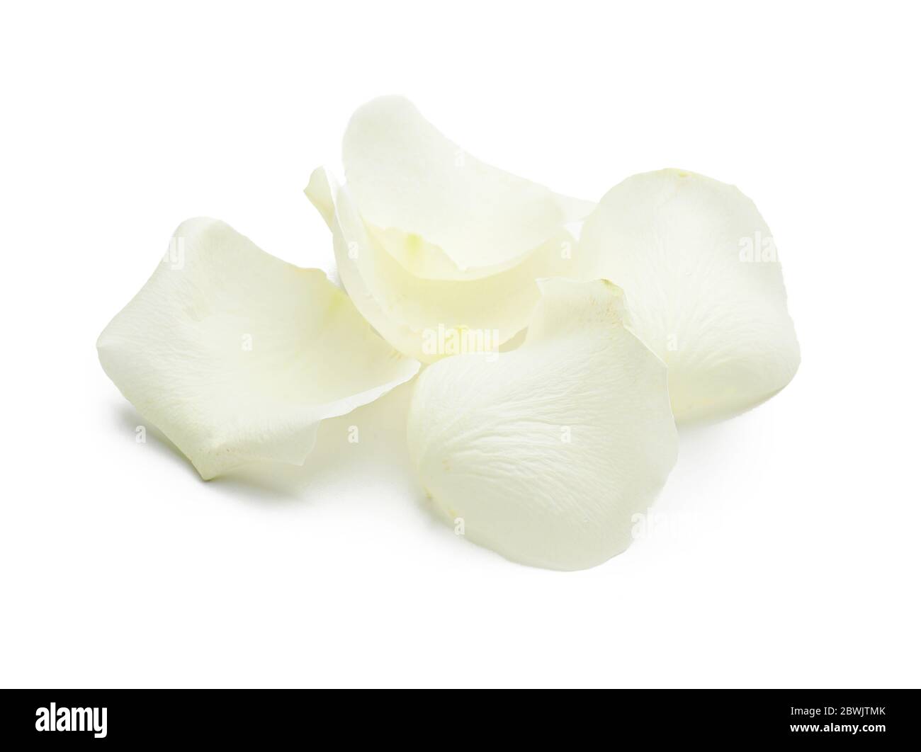 Beautiful rose petals on white background Stock Photo - Alamy