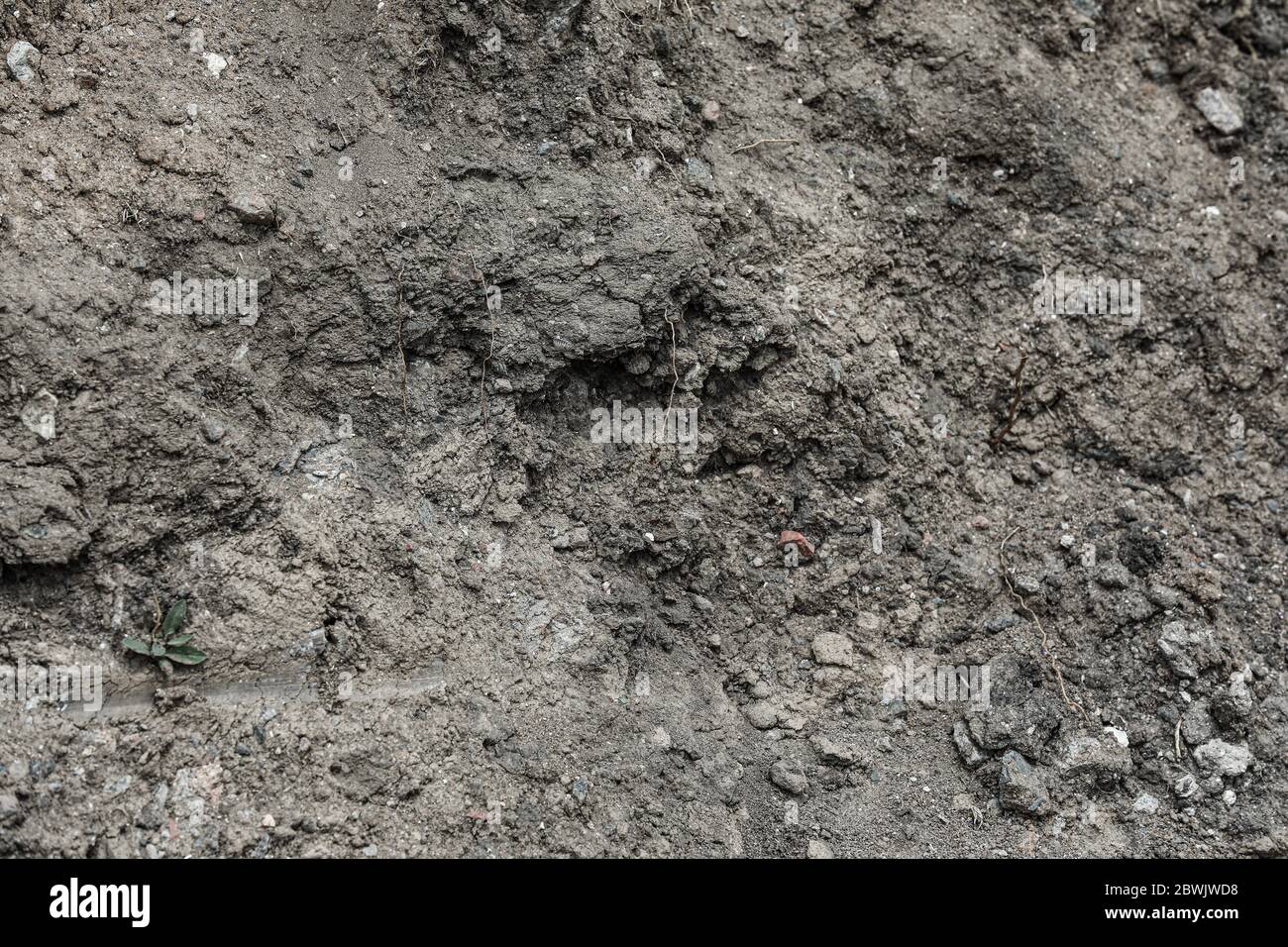 Roche surface hi-res stock photography and images - Alamy