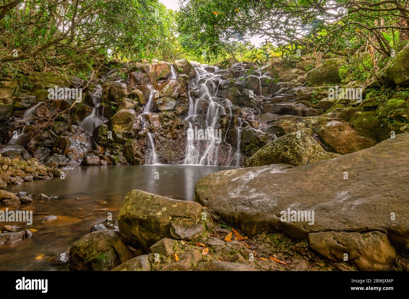 Tropical rainforest chamarel waterfalls mauritius hi-res stock ...