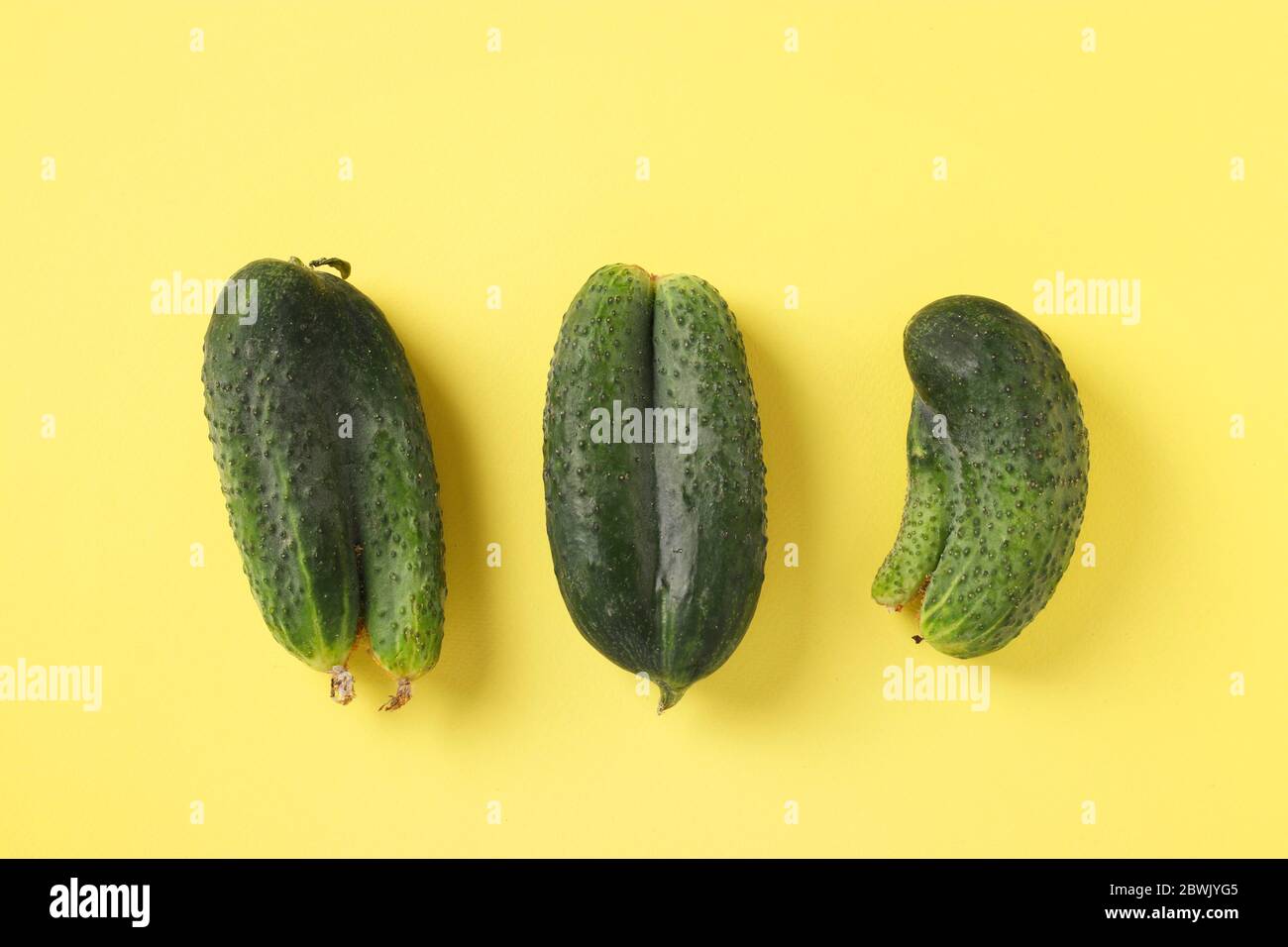 Three ugly cucumbers on bright yellow background. Concept Organic Food ...