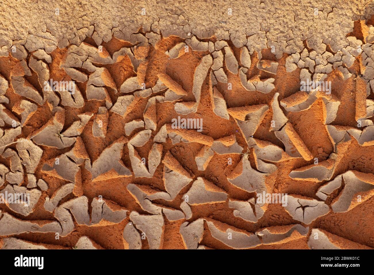 Cracked and peeling desert soil due to climate change and global ...