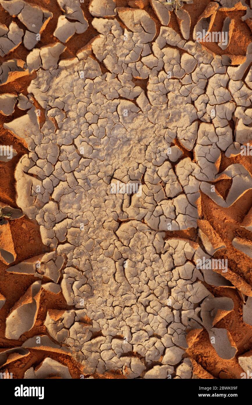 Cracked and peeling desert soil due to climate change and global ...