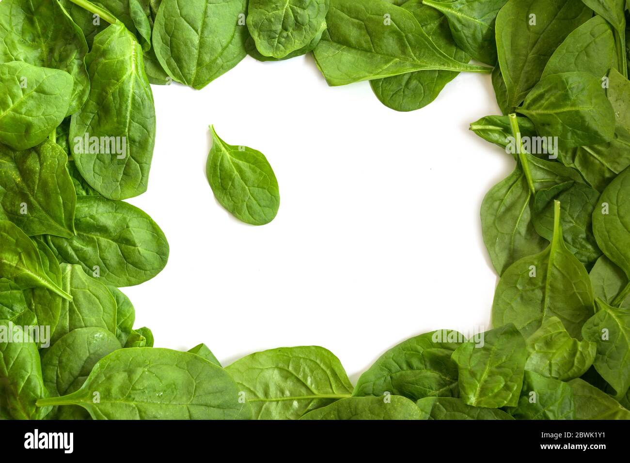 Frame border from fresh organic spinach leaves with copy space, one ...