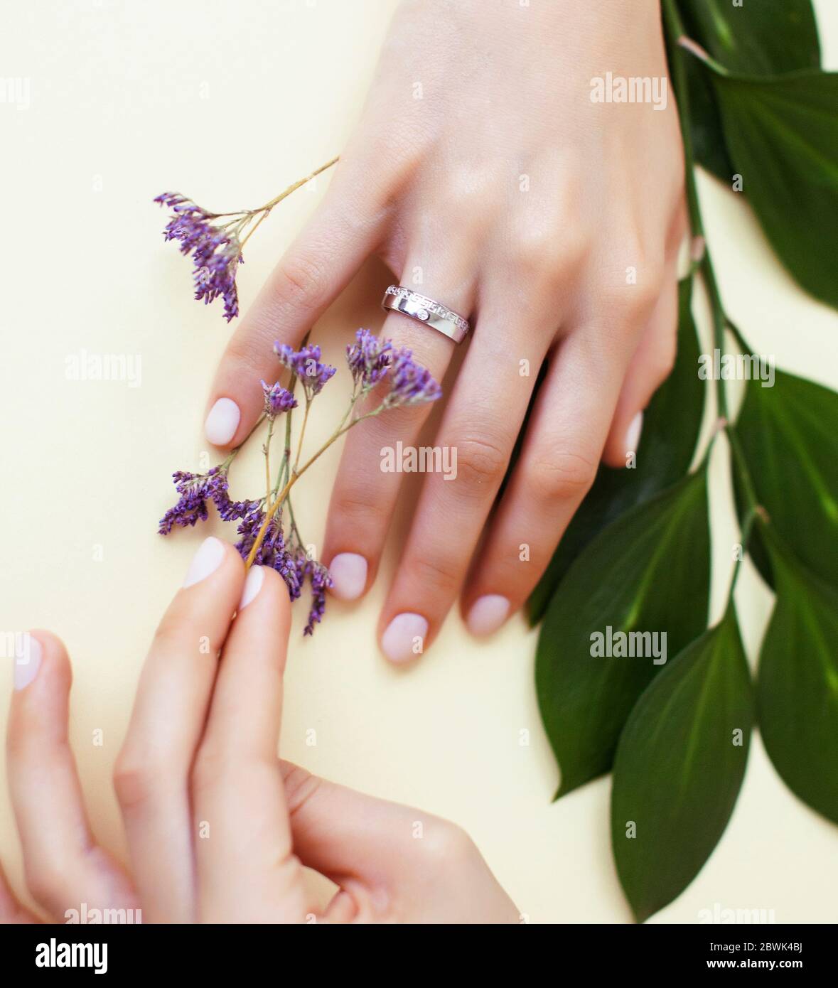 pretty perfect woman hands with white manicure and green leaf on ...
