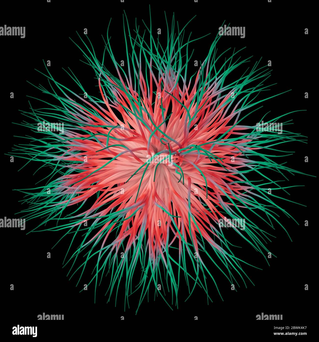 3D illustration of three-dimensional object like a virus on black ...
