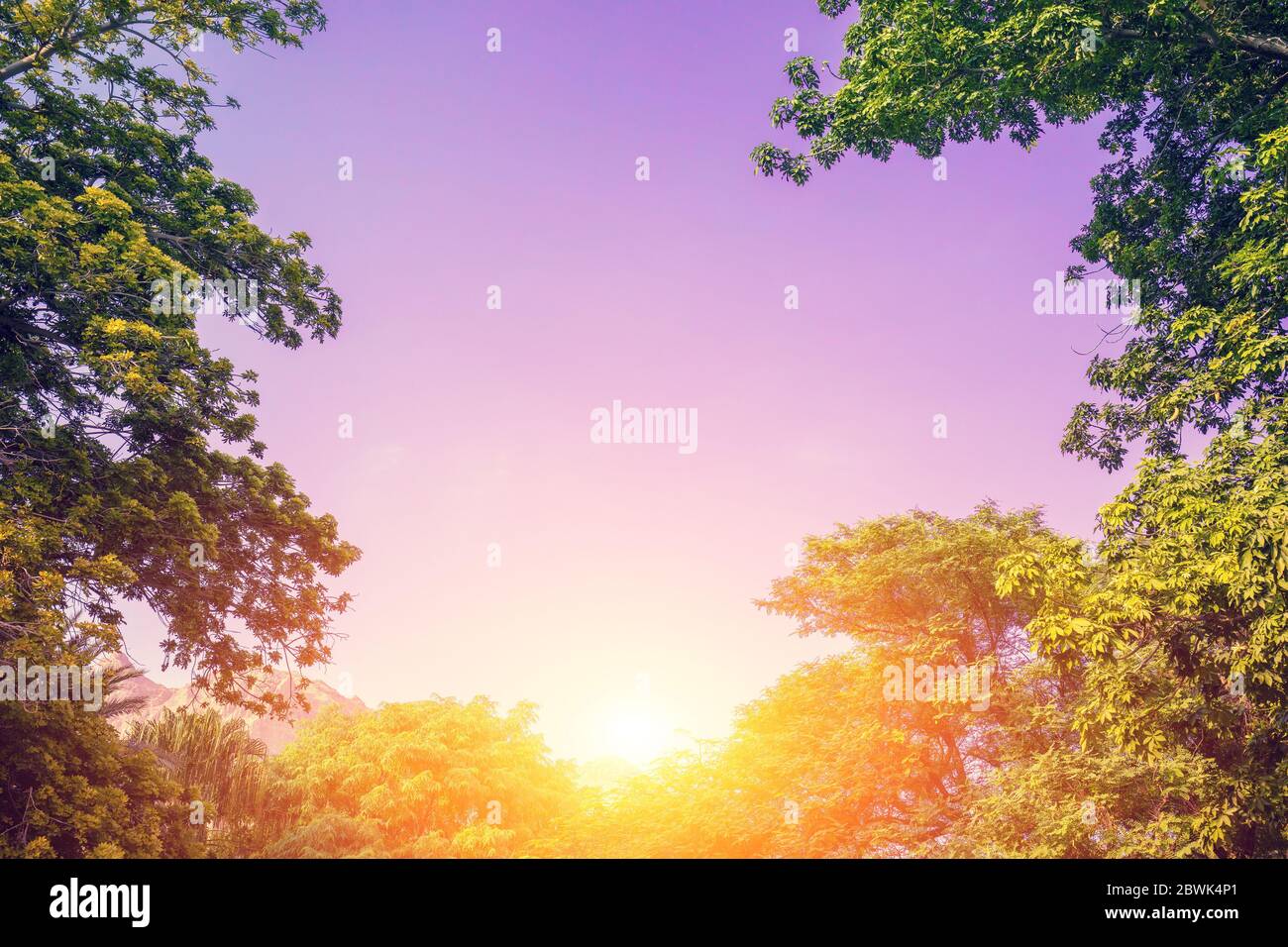 Orange pink purple sunset picture hi-res stock photography and images ...