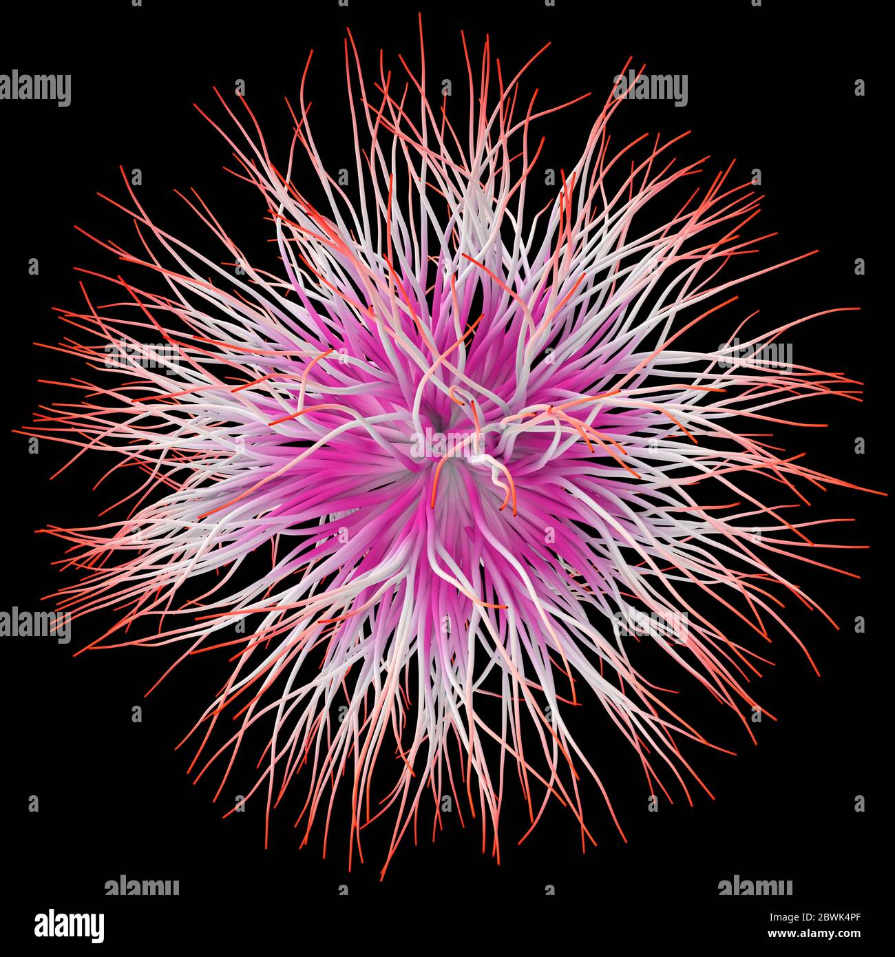 3D illustration of three-dimensional object like a virus on black ...