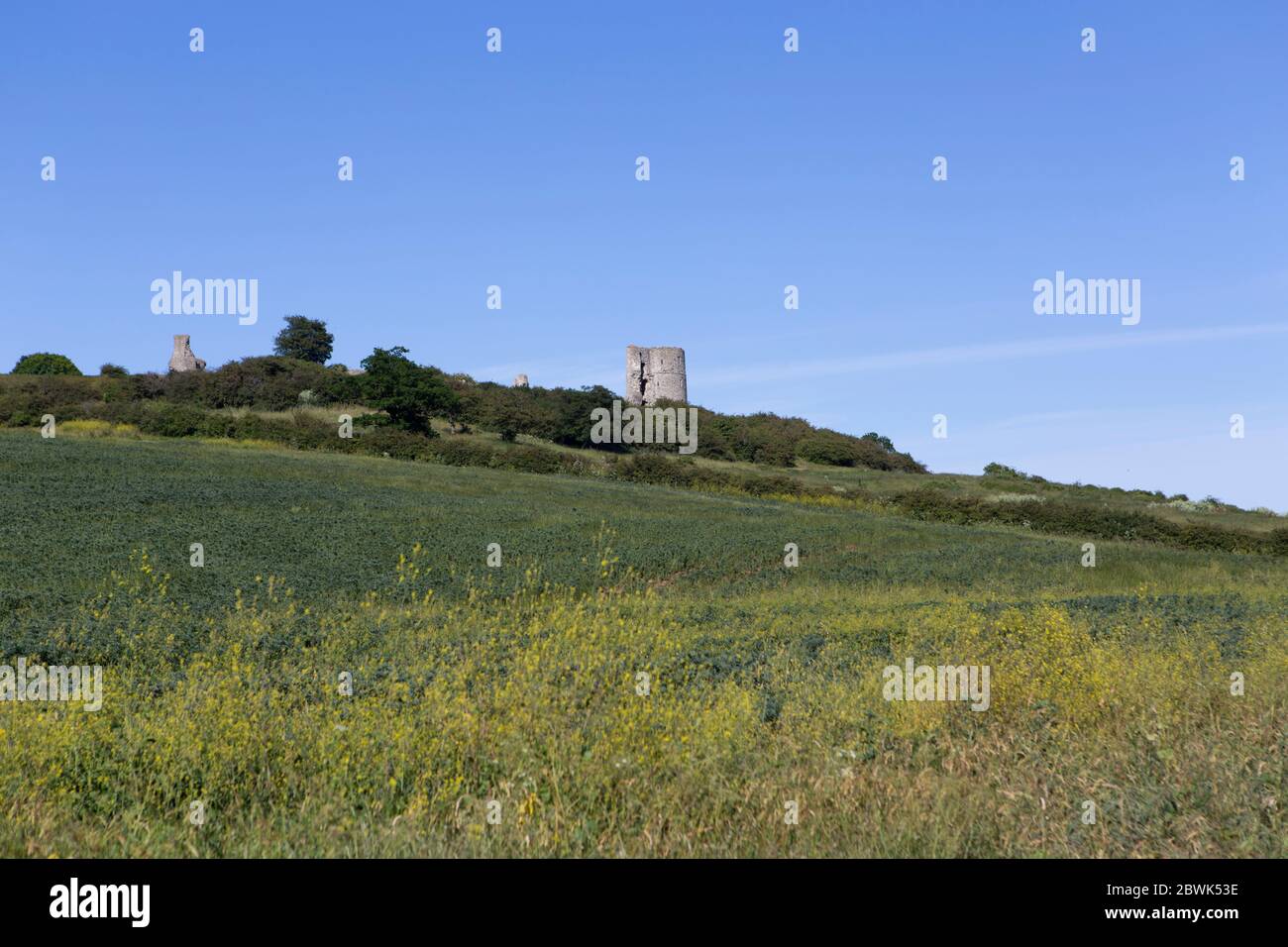 Landscape view of the ruins of Hadleigh Castle in Essex Stock Photo - Alamy