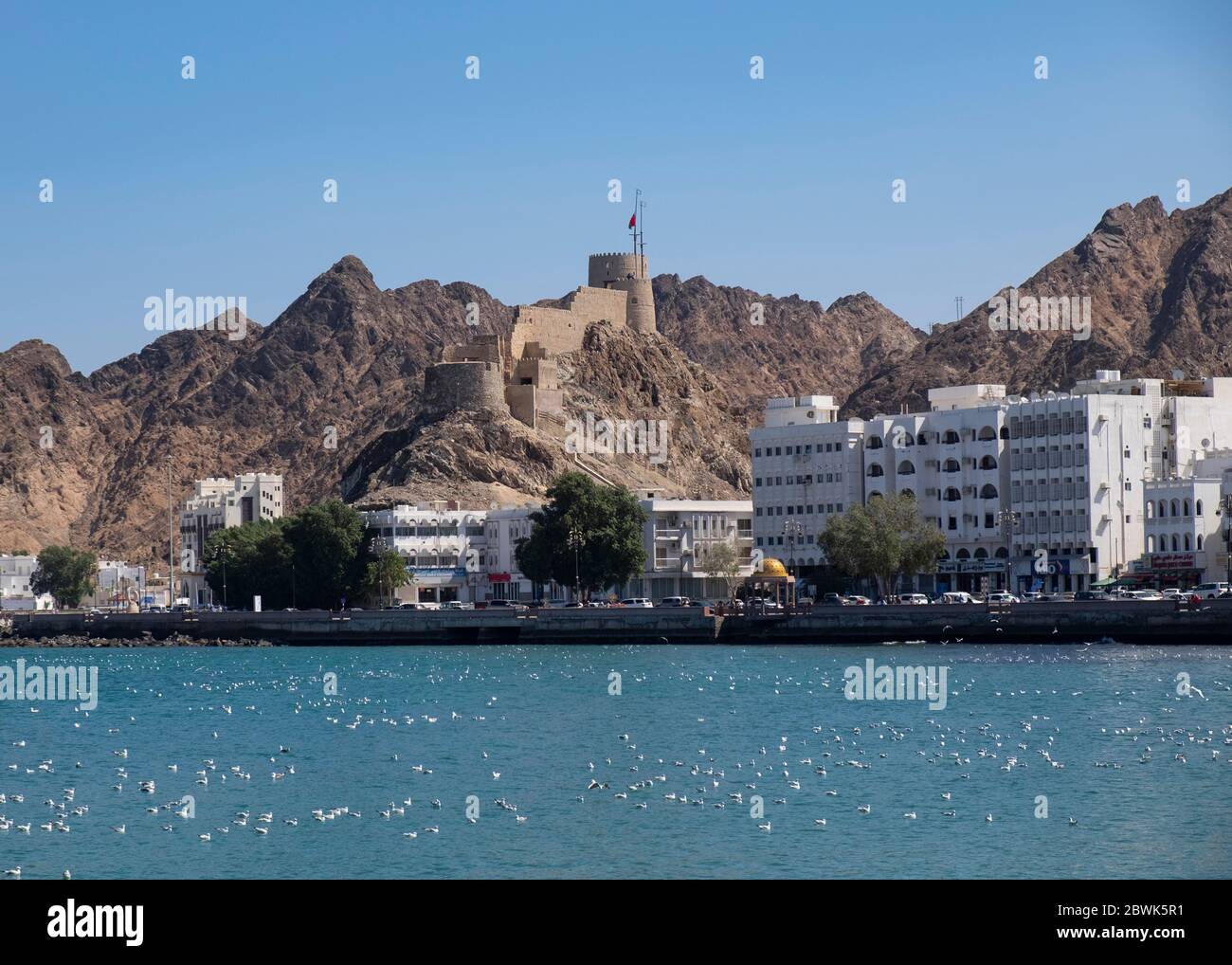 Muscat waterfront oman omani hi-res stock photography and images - Alamy