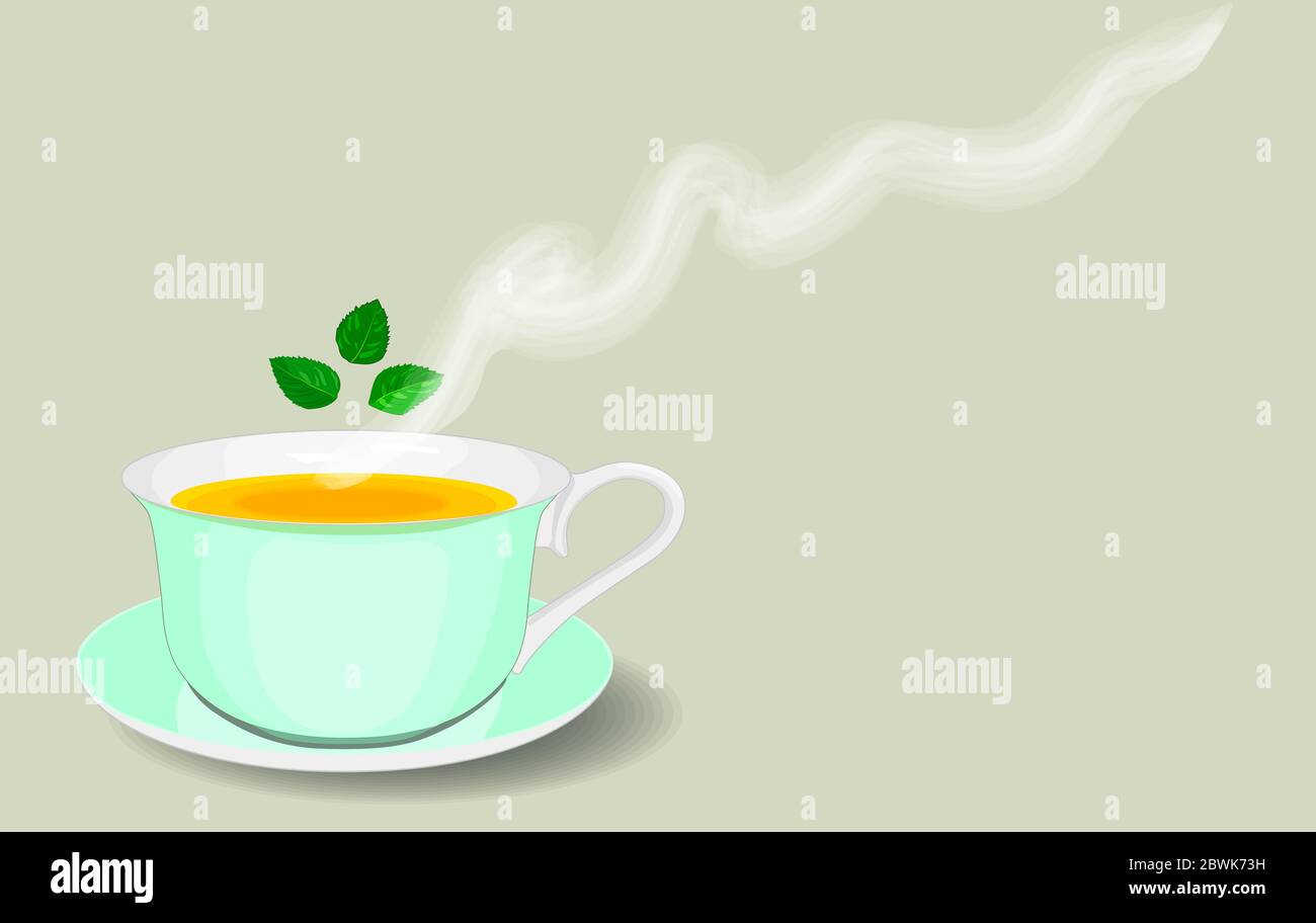 A Cup of tea with mint leaves. Mint tea. Grey isolated.Vector Stock ...