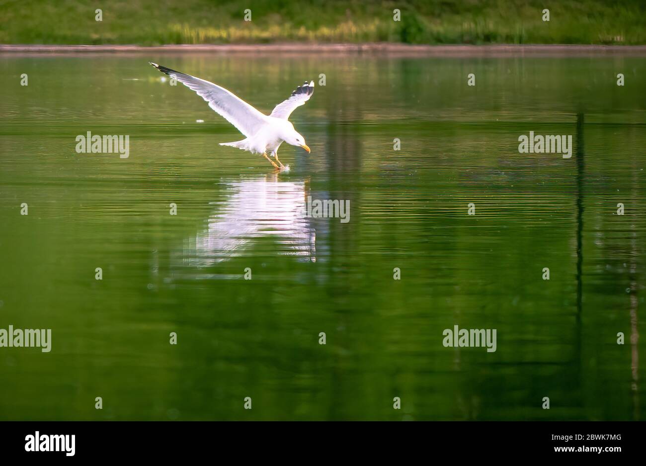 Fly over water and land hi-res stock photography and images - Alamy