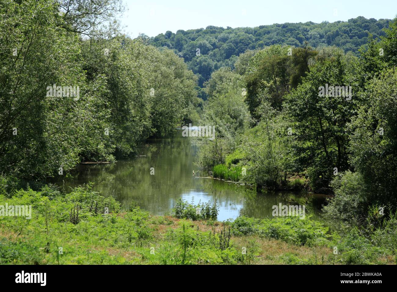 The river Teme at Shelsley Beauchamp, Worcestershire, England, UK Stock ...
