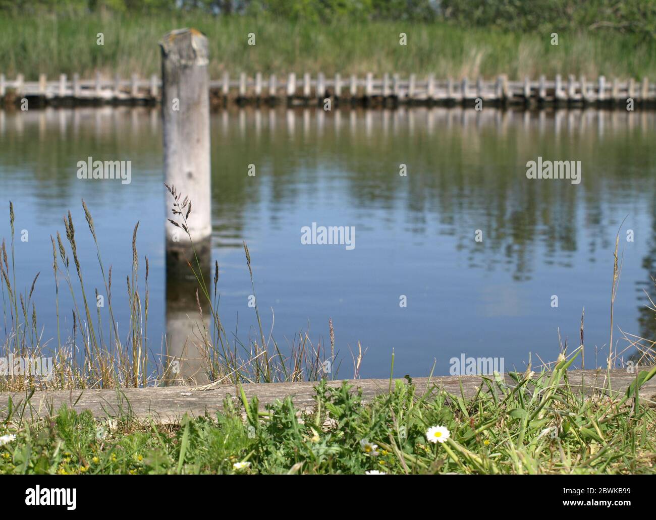 a wooden pole in the channel between Varel harbour and sluice Stock ...