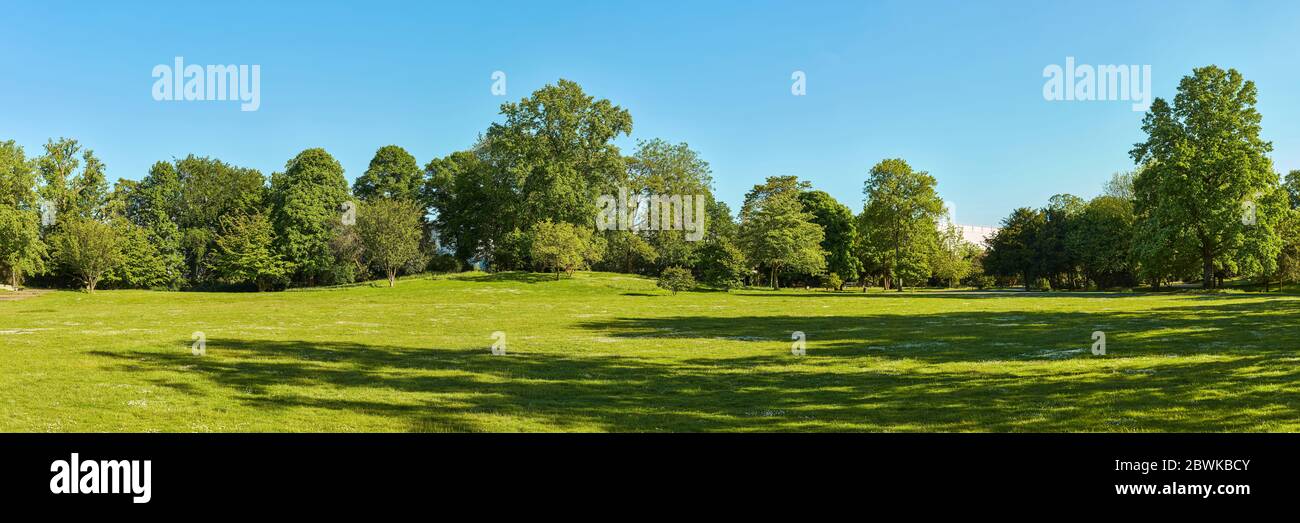 Green meadow in the park with trees and sky in summer as panorama header Stock Photo - Alamy