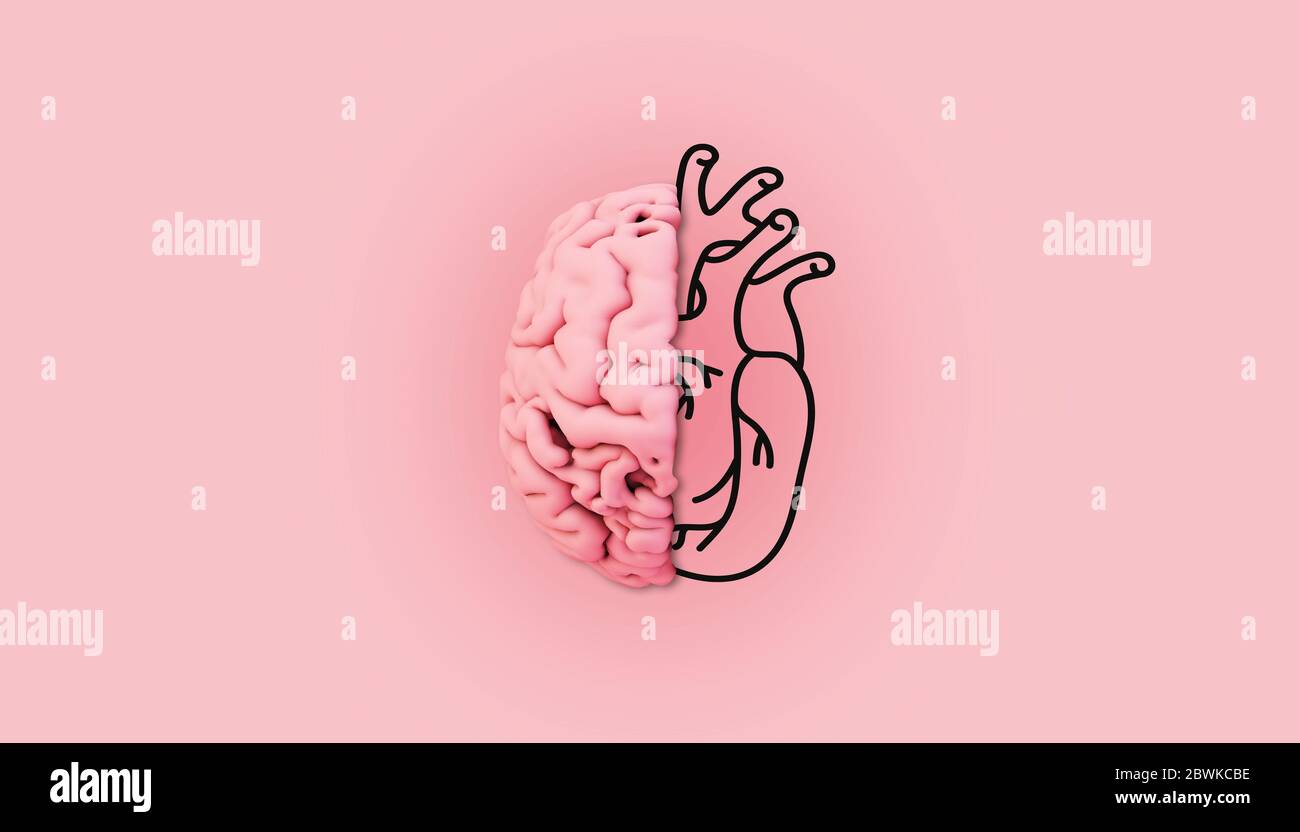minimal pink brain with illustration heart 3d rendering Stock Photo - Alamy