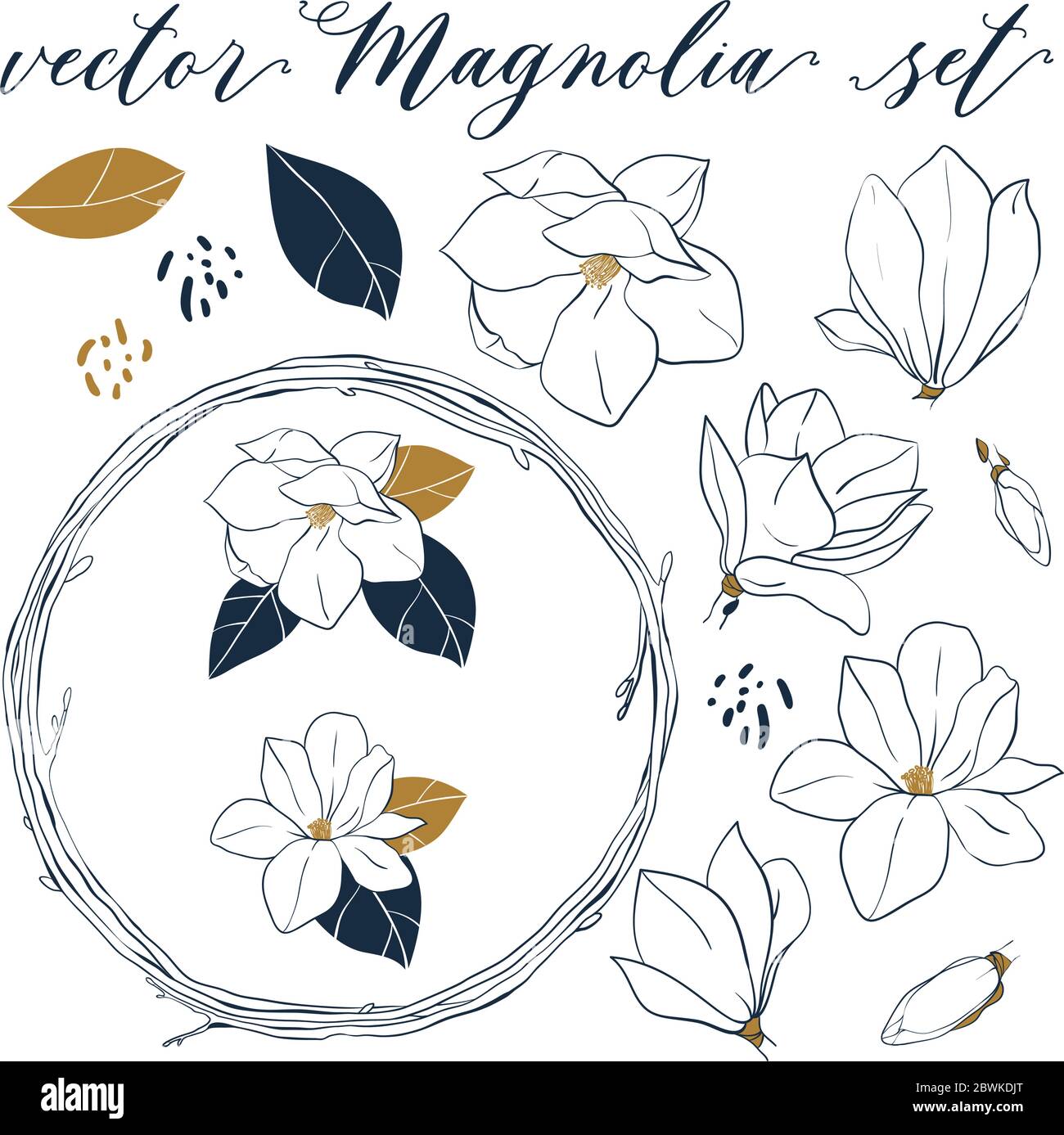 Vector Magnolia set. Hand drawn botanical elements in line art style ...