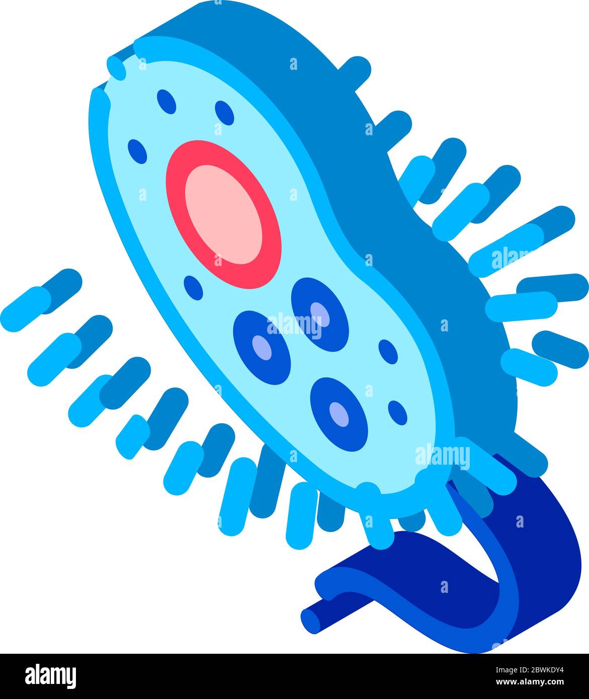 Dangerous Bacillus Bacteria isometric icon vector illustration Stock ...