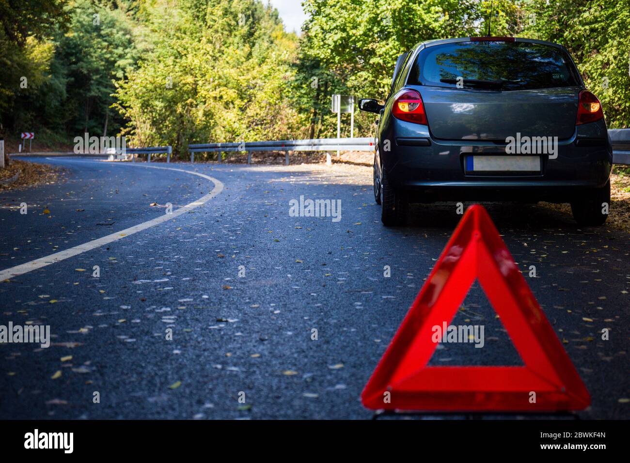 Road breakdown car in nature, forest, autumn, roadside assistance ...
