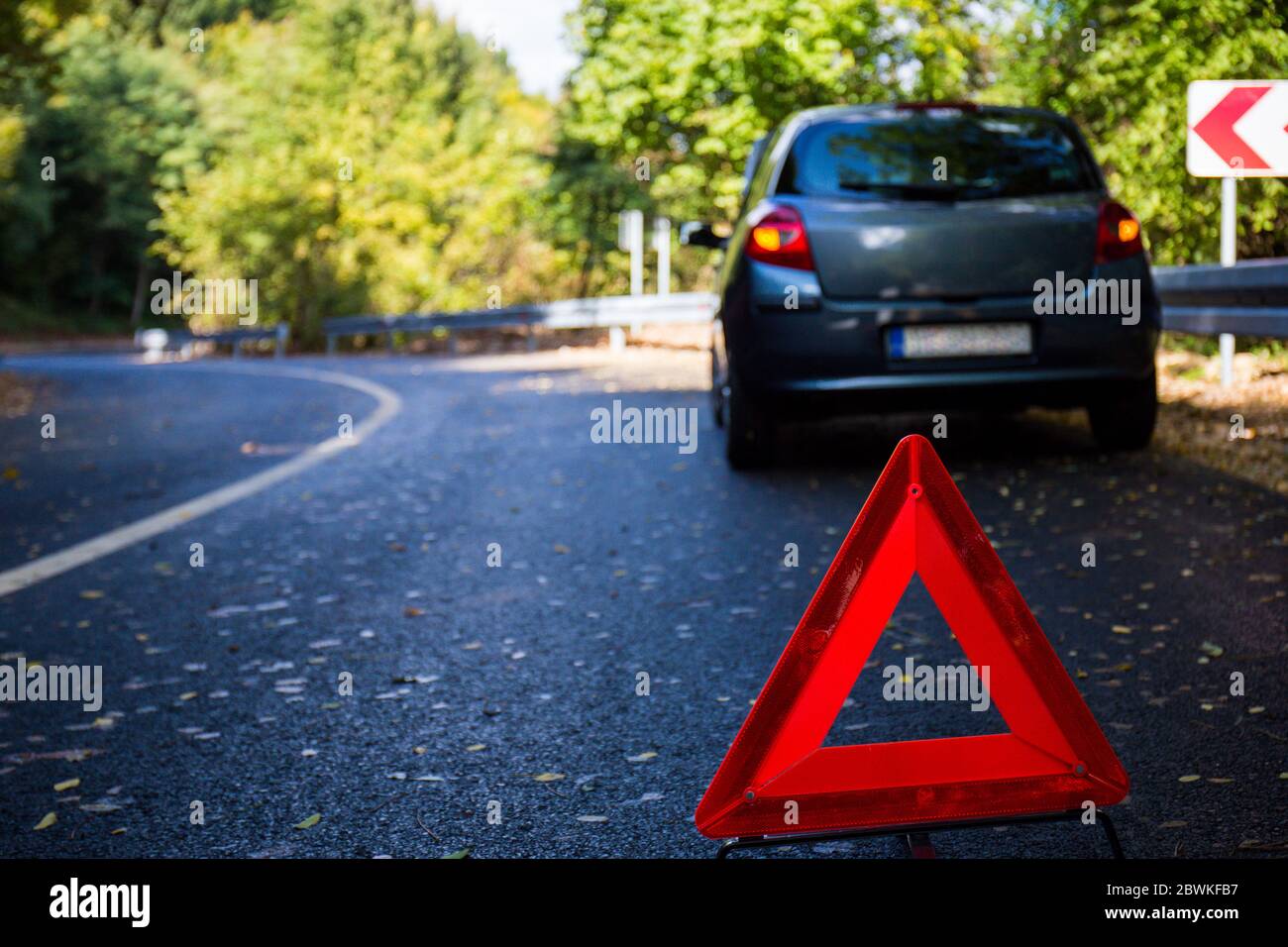 Road breakdown car in nature, forest, autumn, roadside assistance ...