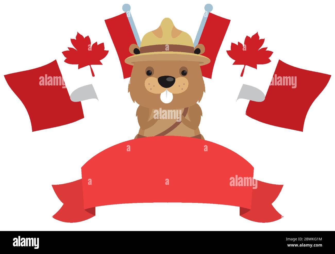 Canadian beaver with hat and flags of happy canada day vector design ...