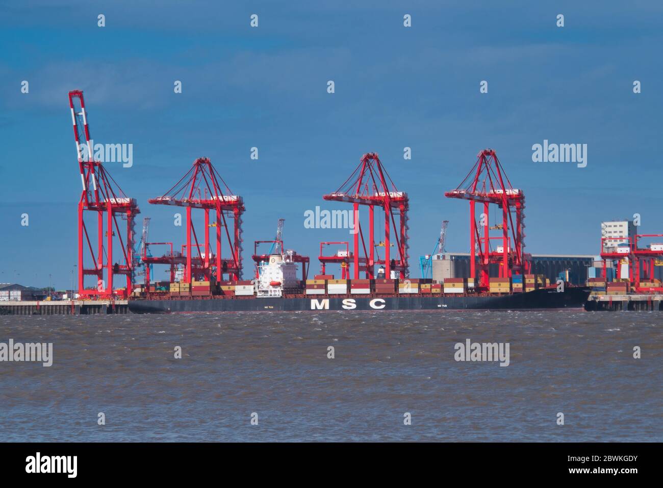 Panama registered container ship MSC Pilar at berth at Liverpool2 - a £ ...